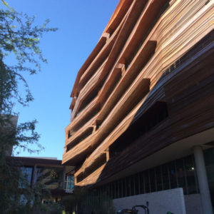 Climate Specific Design - SALA Architects