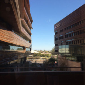 Climate Specific Design - SALA Architects