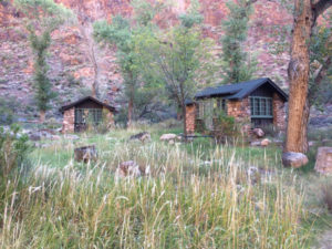 Climate Specific Design - SALA Architects