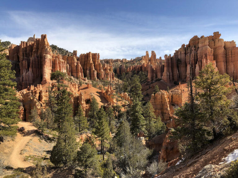 Fake Architecture - SALA Architects