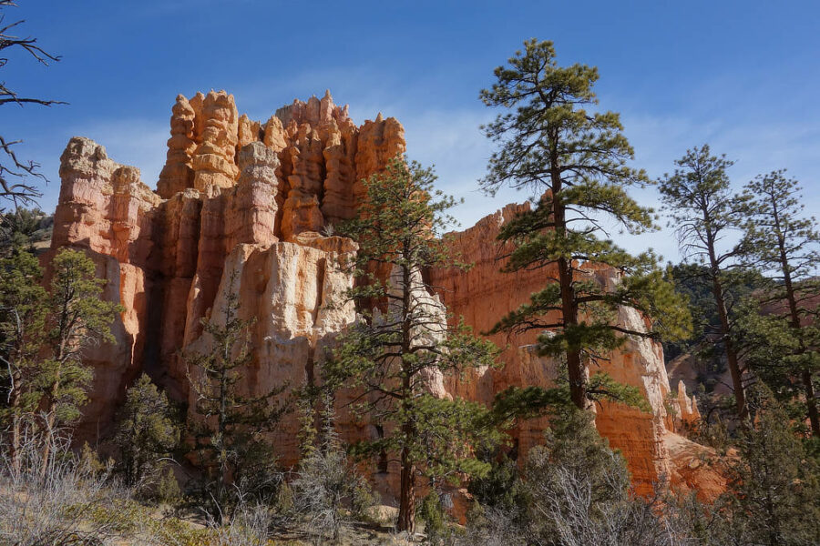 Fake Architecture - SALA Architects