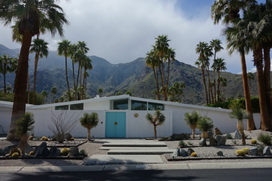 Desert Modern - SALA Architects