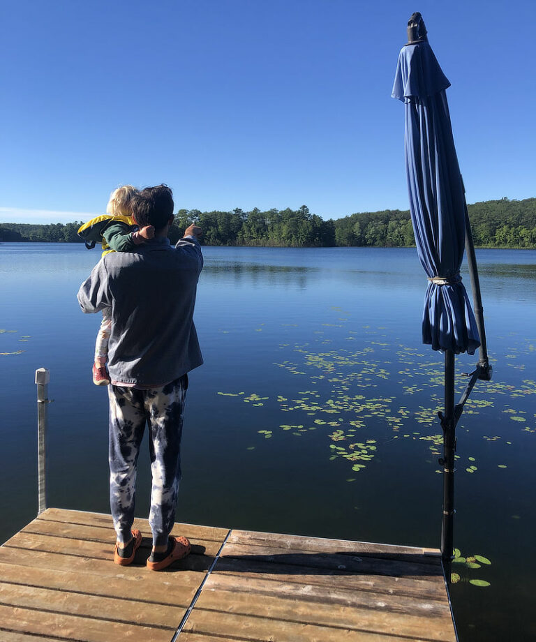Minnesota Wild: Shifting the Aesthetics of Lake Home Shorelines - SALA ...