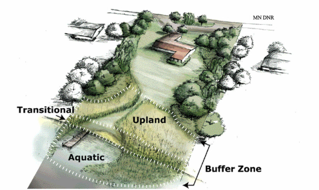 Minnesota Wild: Shifting the Aesthetics of Lake Home Shorelines - SALA ...