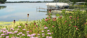 Minnesota Wild: Shifting the Aesthetics of Lake Home Shorelines - SALA ...