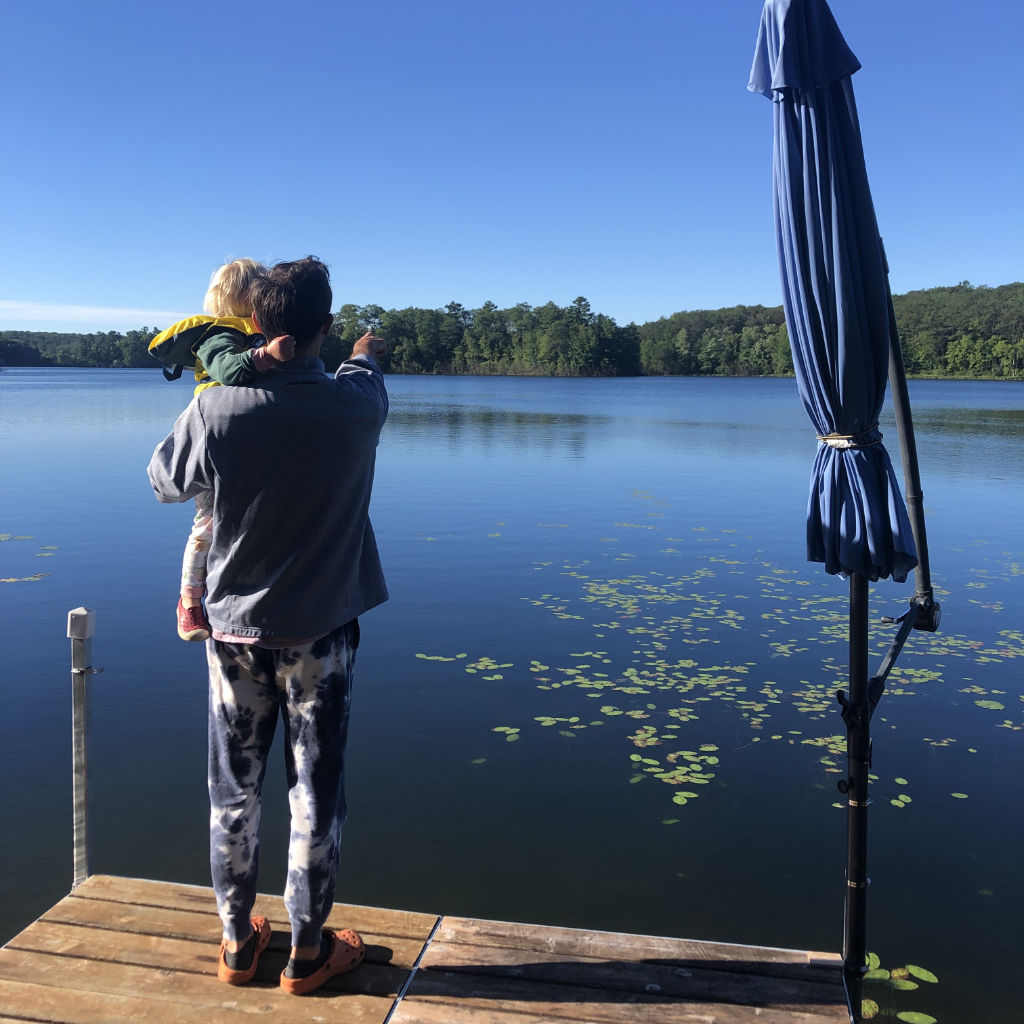 Minnesota Wild: Shifting the Aesthetics of Lake Home Shorelines - SALA ...